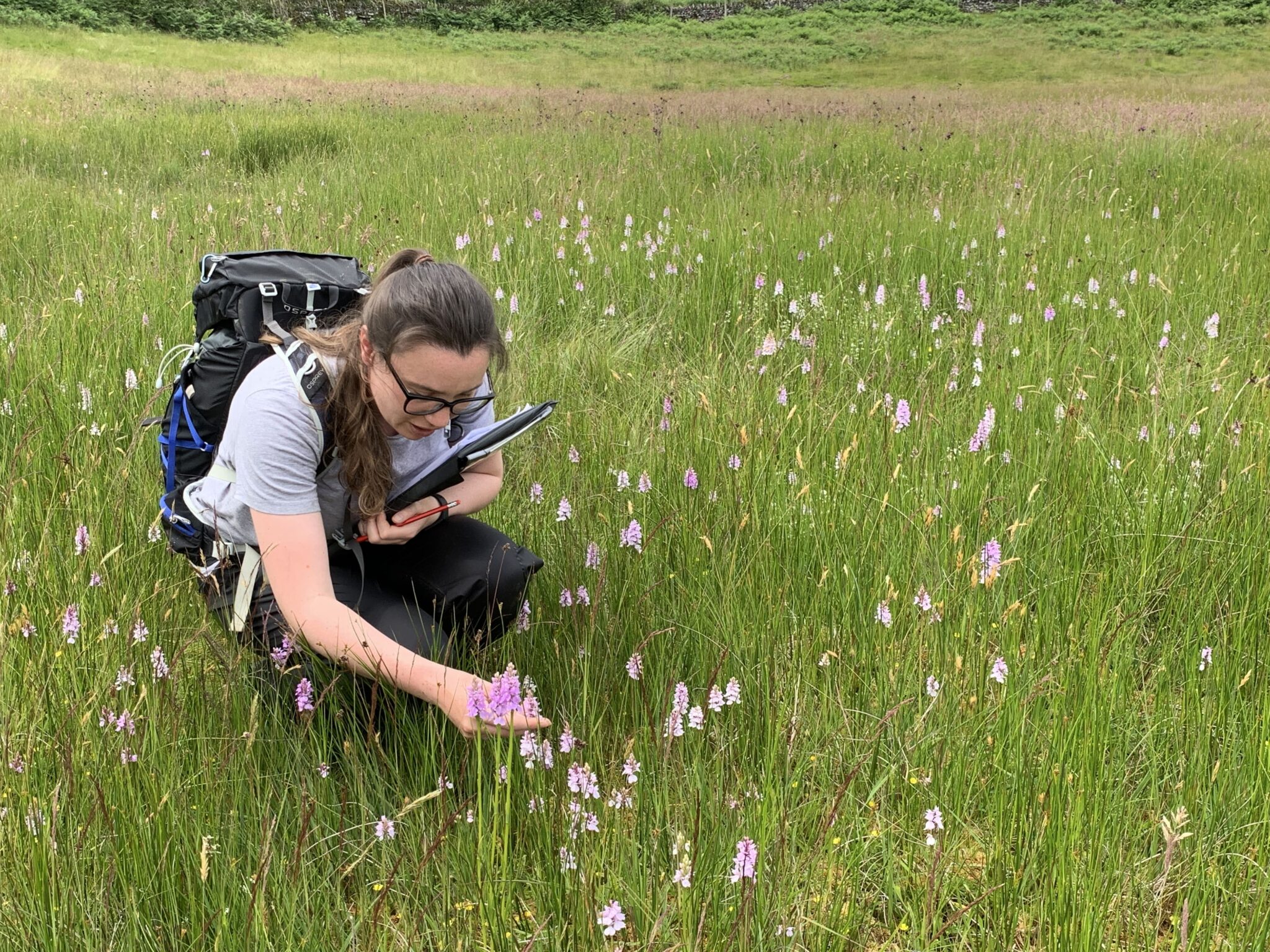 Natural England Careers - Natural England Careers